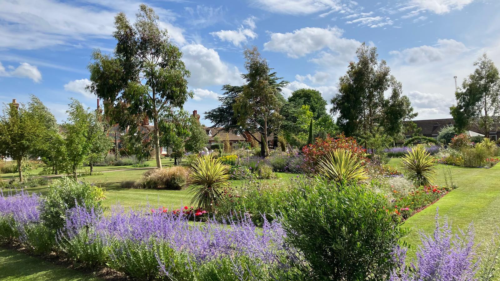 Gardens 2023 - Yoakley